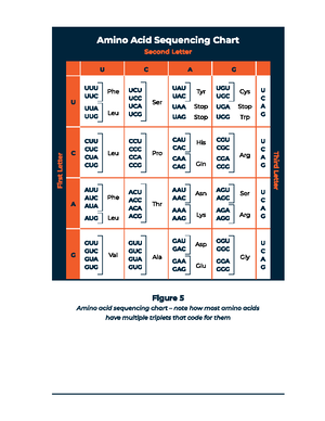 Cell - Biology - Biology Structure of a Cell Animal cell Most animal ...