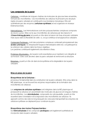 Paroi L1 - spe vegetale - La paroi des cellules végétales I ...