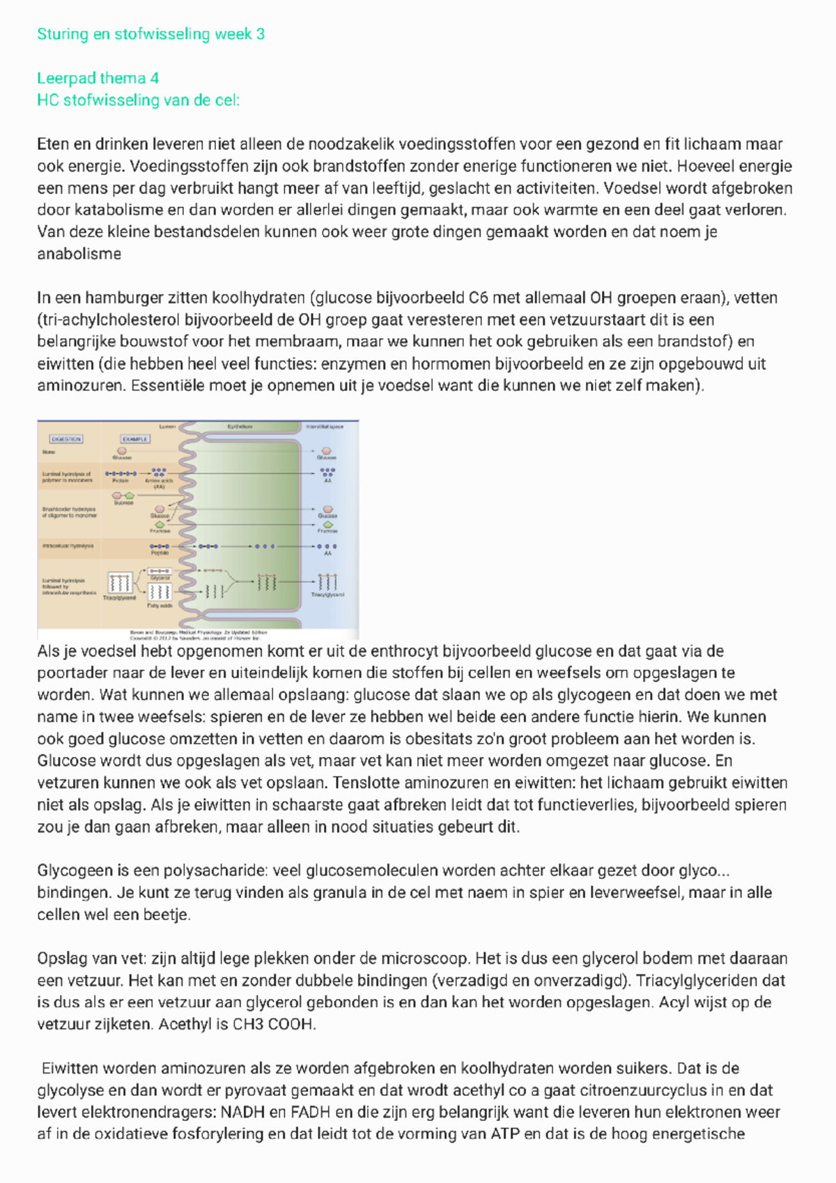 Leerpad Thema 4: Sturing en Stofwisseling In Diepte - Studeersnel