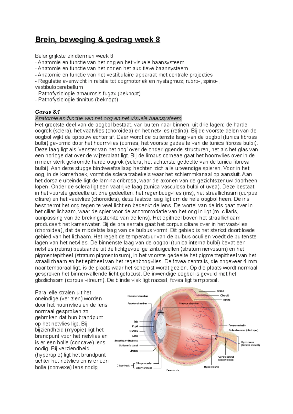 Vlakken en assen in anatomie - Vlakken en assen in anatomie Sagittaal ...