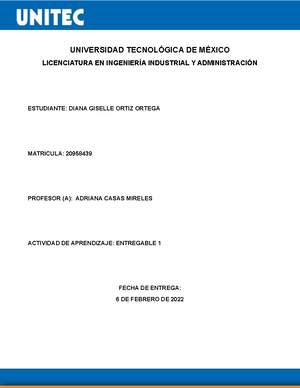 Las variaciones en la estructura organizacional - Introducción ...