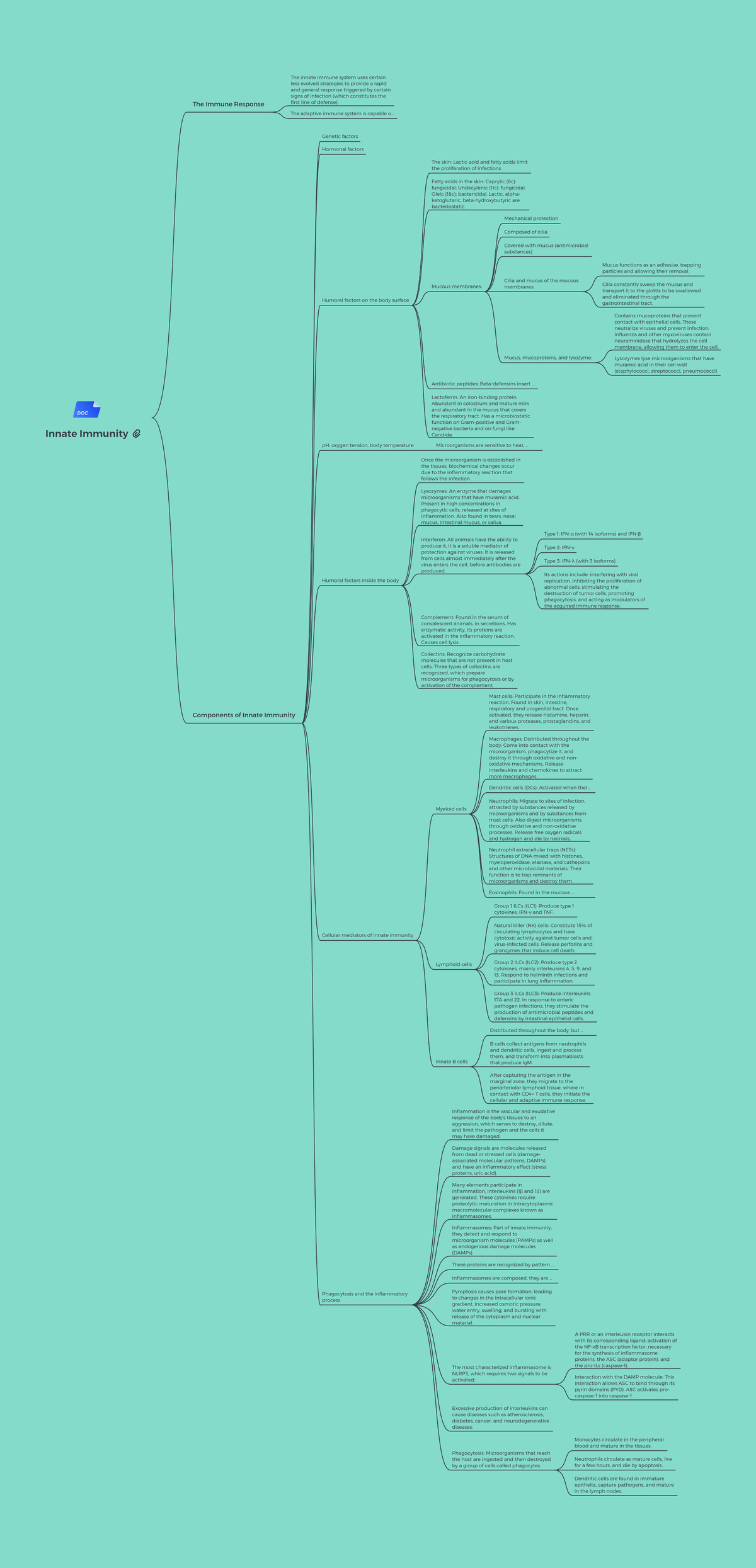 Innate Immunity - ..... - Innate Immunity The Immune Response The ...
