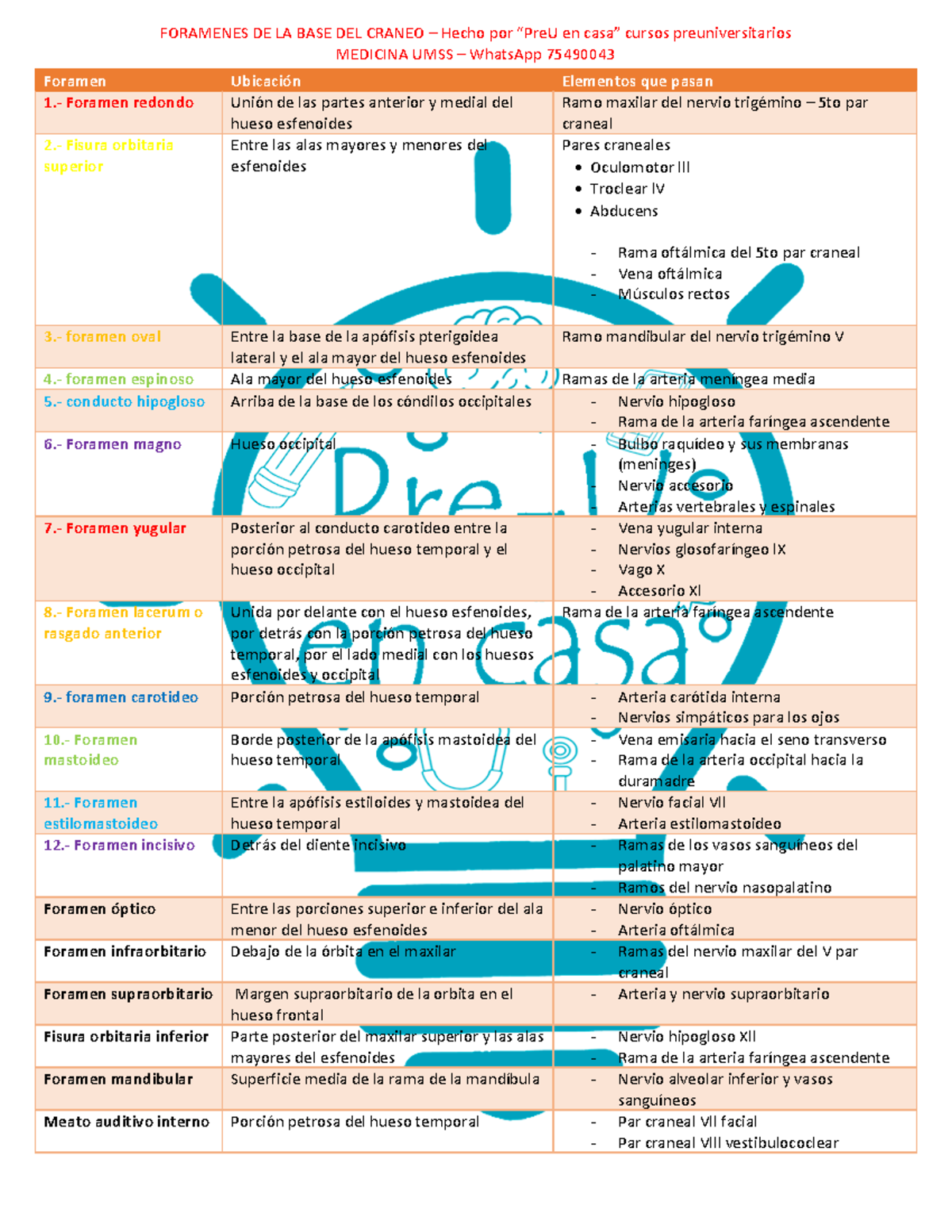 Foramenes de la Base del Cráneo - Medicina UMSS Note - Studocu