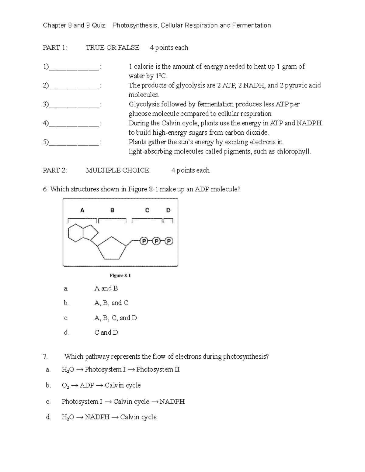 Quiz Ch8&9: Photosynthesis, Cellular Respiration & Fermentation - Studocu