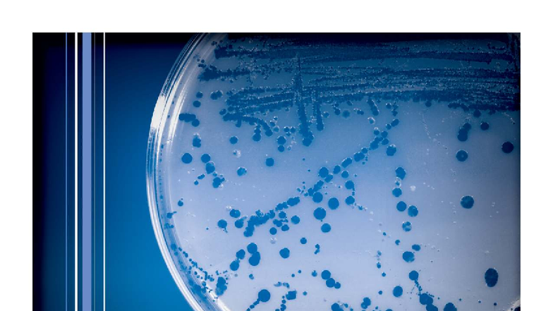 Hand Washing Techniques Investigation Manual for BIO-2510 - Studocu