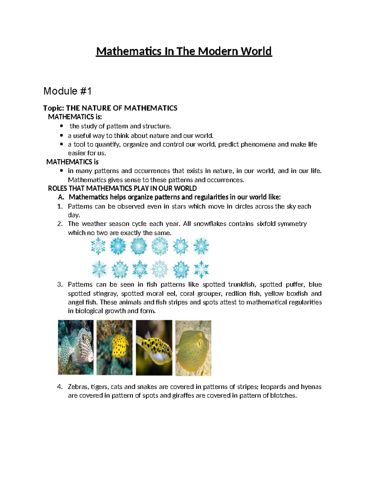 Mathematics in the Modern World: The Nature of Mathematical Patterns ...