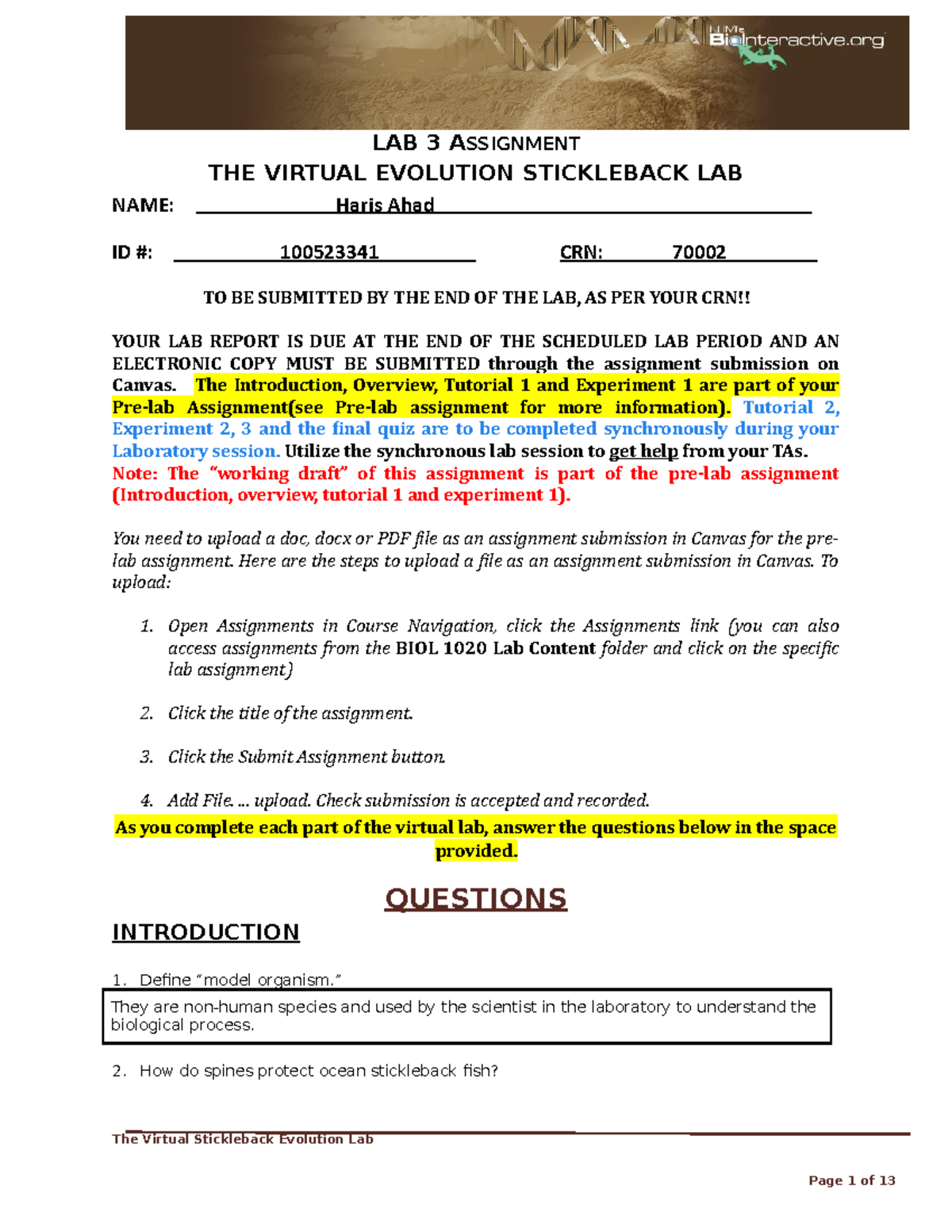 Lab 3 Assignment (final submission) - LAB 3 ASSIGNMENT THE VIRTUAL ...