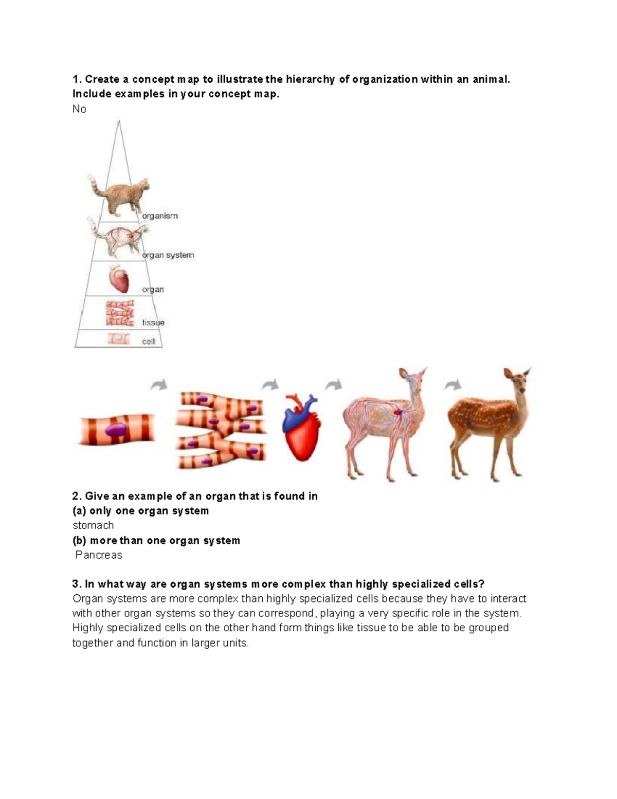 Science 3.1 Homework: Concept Map & Organ System Examples - Studocu