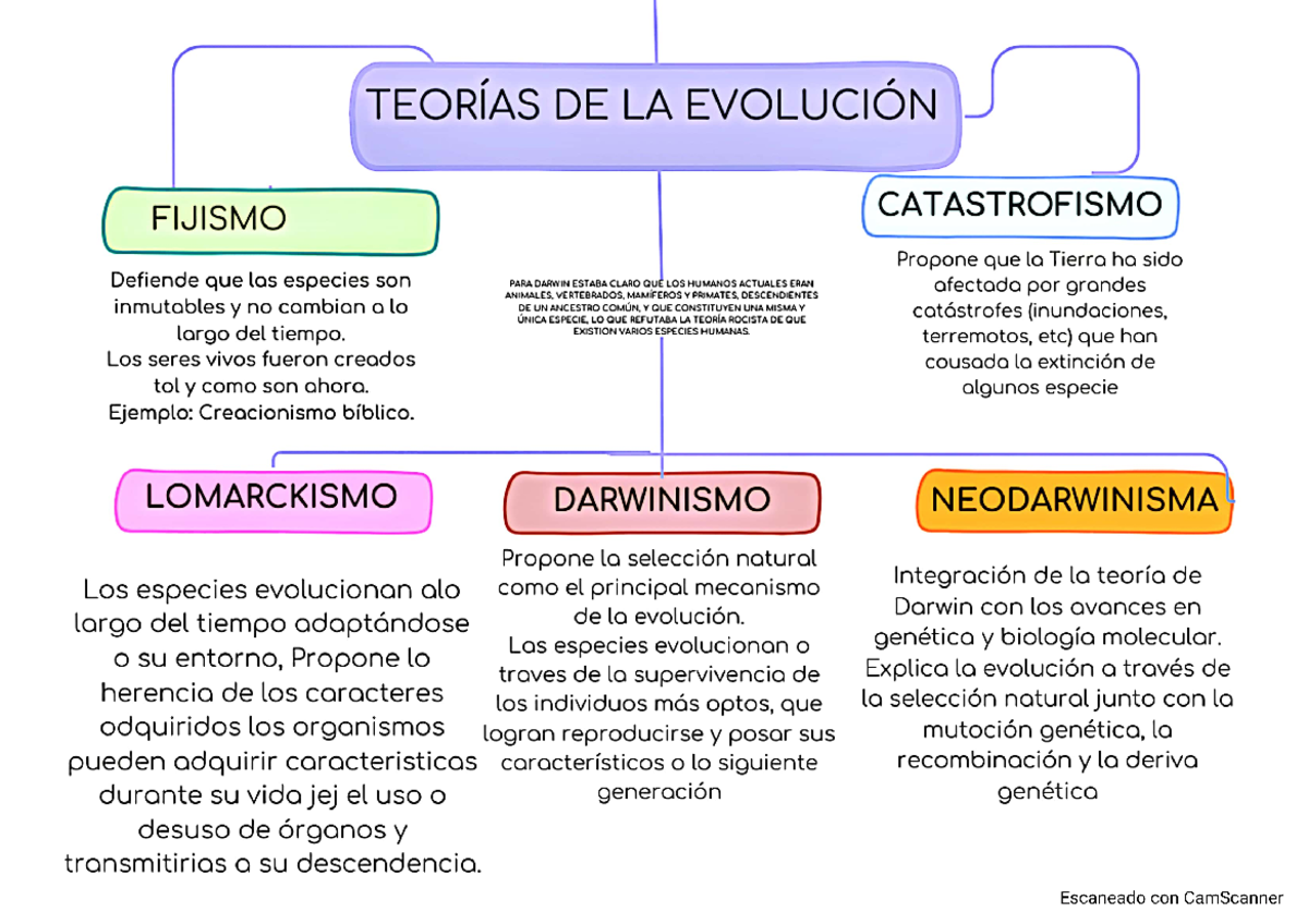 Teorías de la evolución - TEORÍAS DE LA EVOLUCIÓN FIJISMO CATASTROFISMO ...
