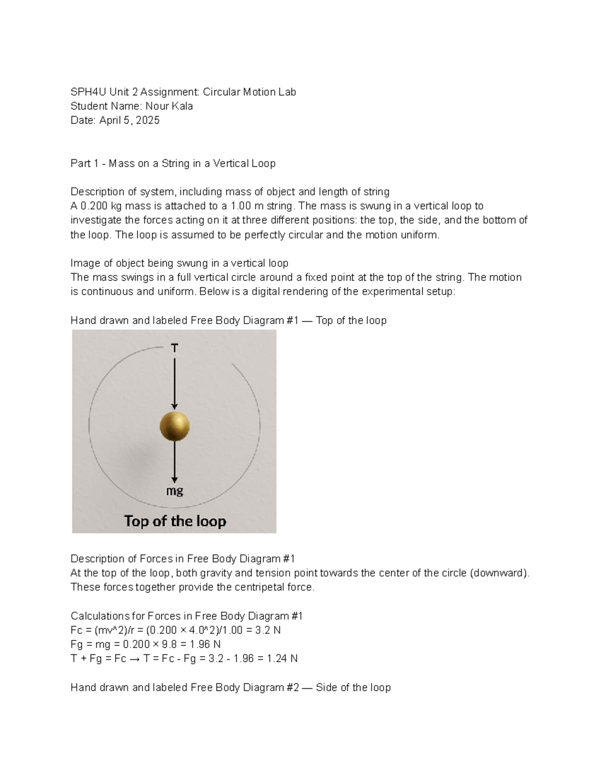 SPH4U Unit 2 assignment: Analyzing forces in vertical circular motion ...