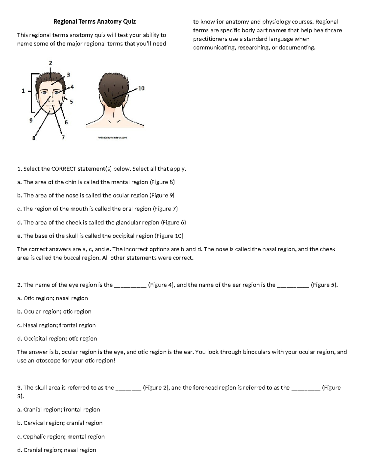 Regional Terms Anatomy Quiz (ANAT 101) - Studocu