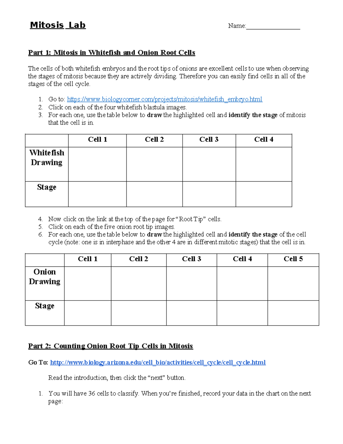 Copy of Mitosis Lab - counting cells in stages - Mitosis Lab Name ...