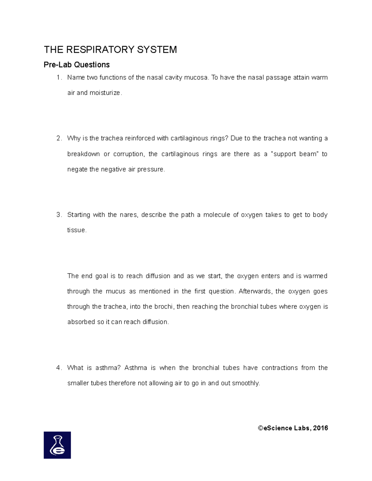 The Respiratory System - THE RESPIRATORY SYSTEM Questions 1. Name two ...