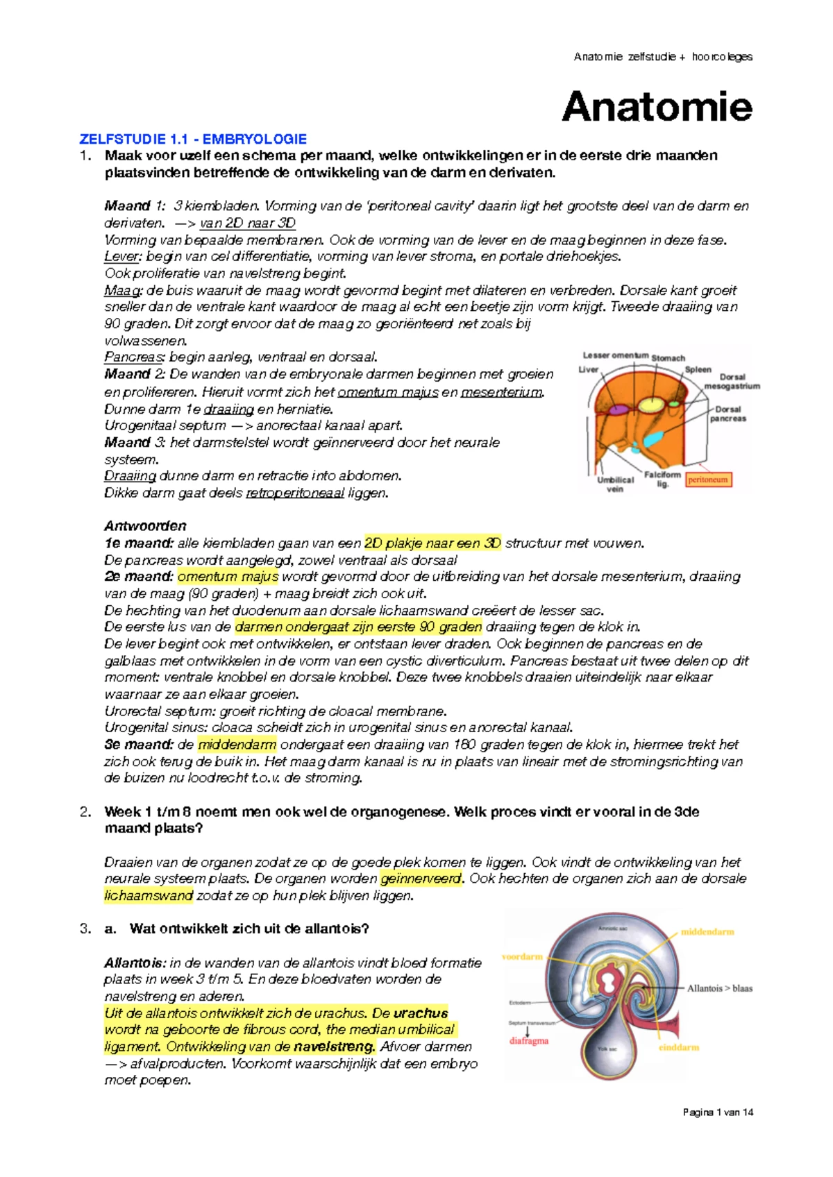 Peritoneum - Peritoneum intraperitoneaal retroperitoneaal (primair en ...