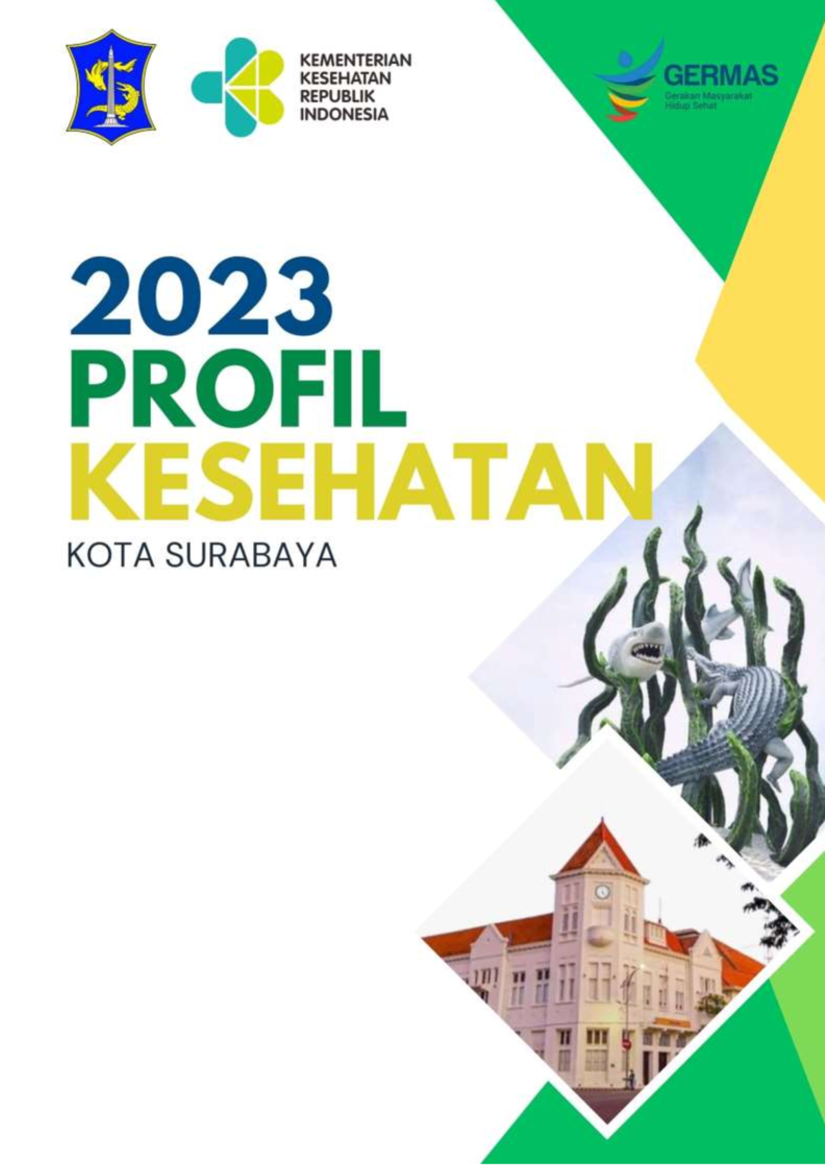 Profil Kesehatan Kota Surabaya Tahun 2023: Analisis dan Temuan - Studocu