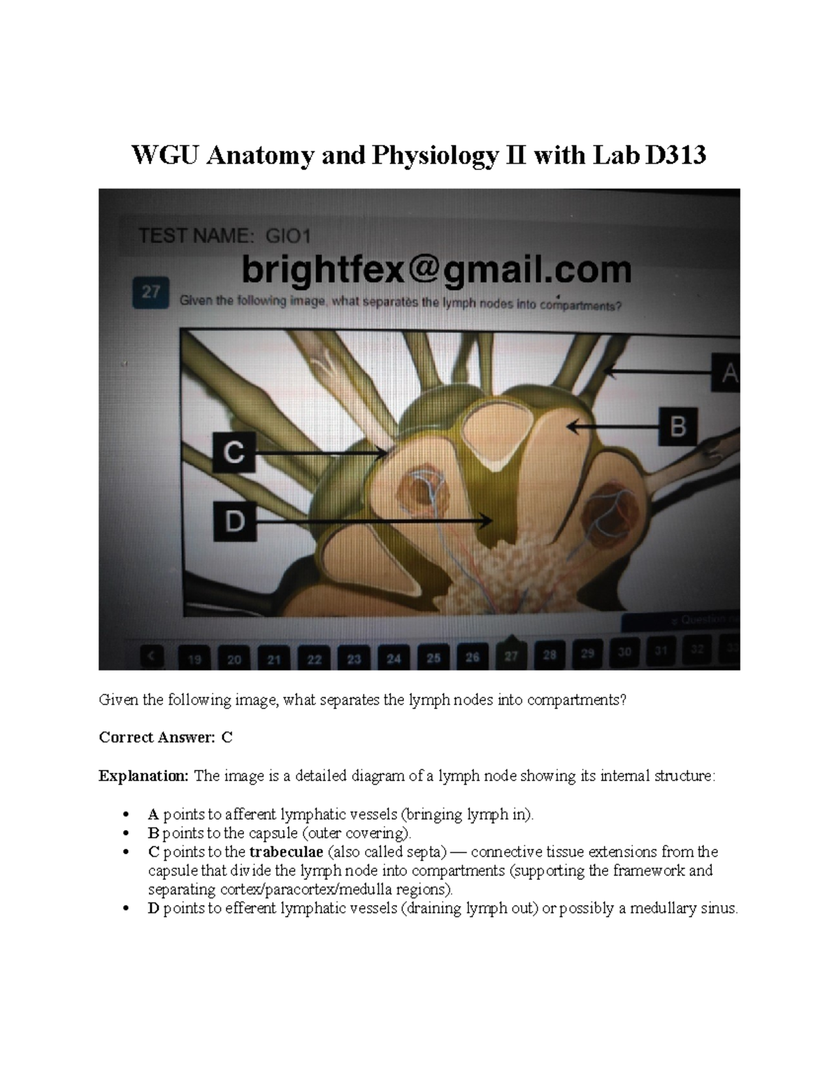 WGU Anatomy & Physiology II Lab D313: Lymph Node Structure & Nephron ...