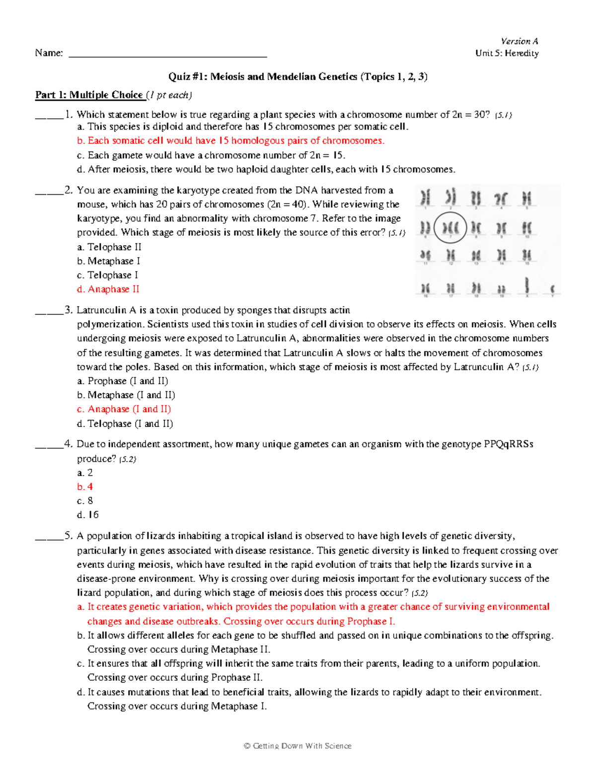 Unit 5: Heredity Quiz (VA) - Meiosis & Mendelian Genetics Key - Studocu