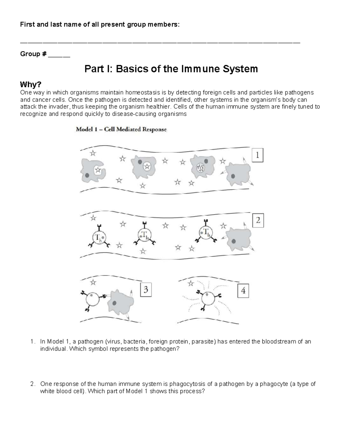 Immune System Basics: Recitation Worksheet for Module 12 - Studocu