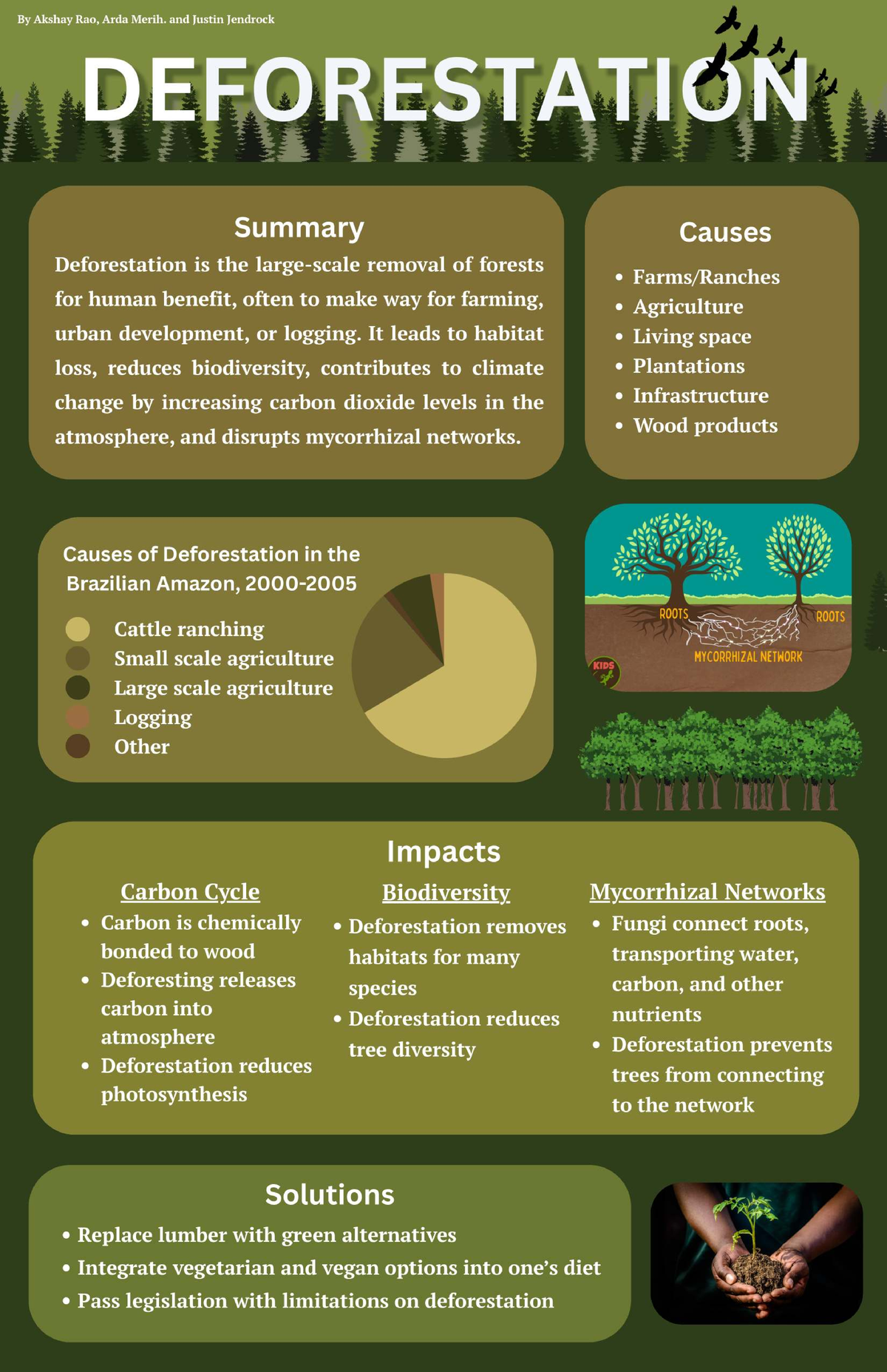 Deforestation Presentation: Causes, Impacts, and Solutions (BIO 101 ...