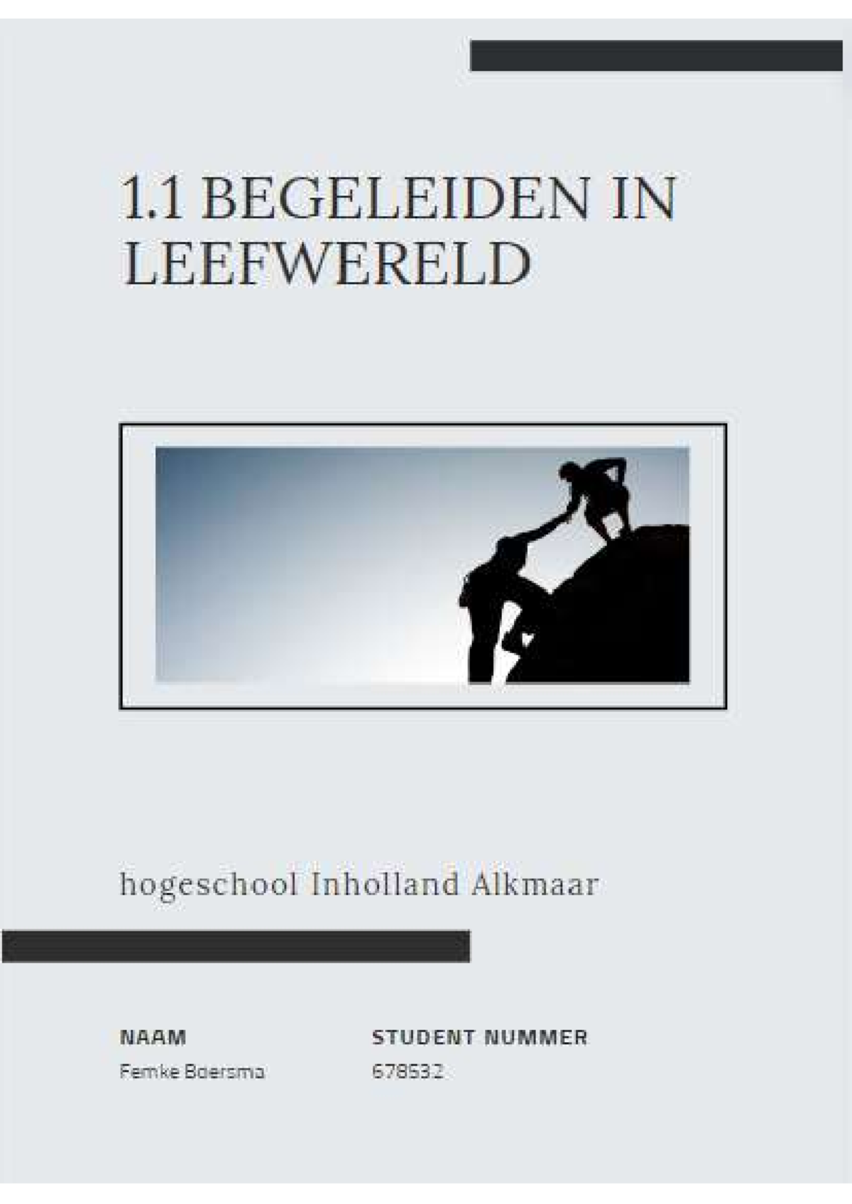 Begeleidingsplan voor Cliënt met Licht Verstandelijke Beperking (VS 1.1 ...