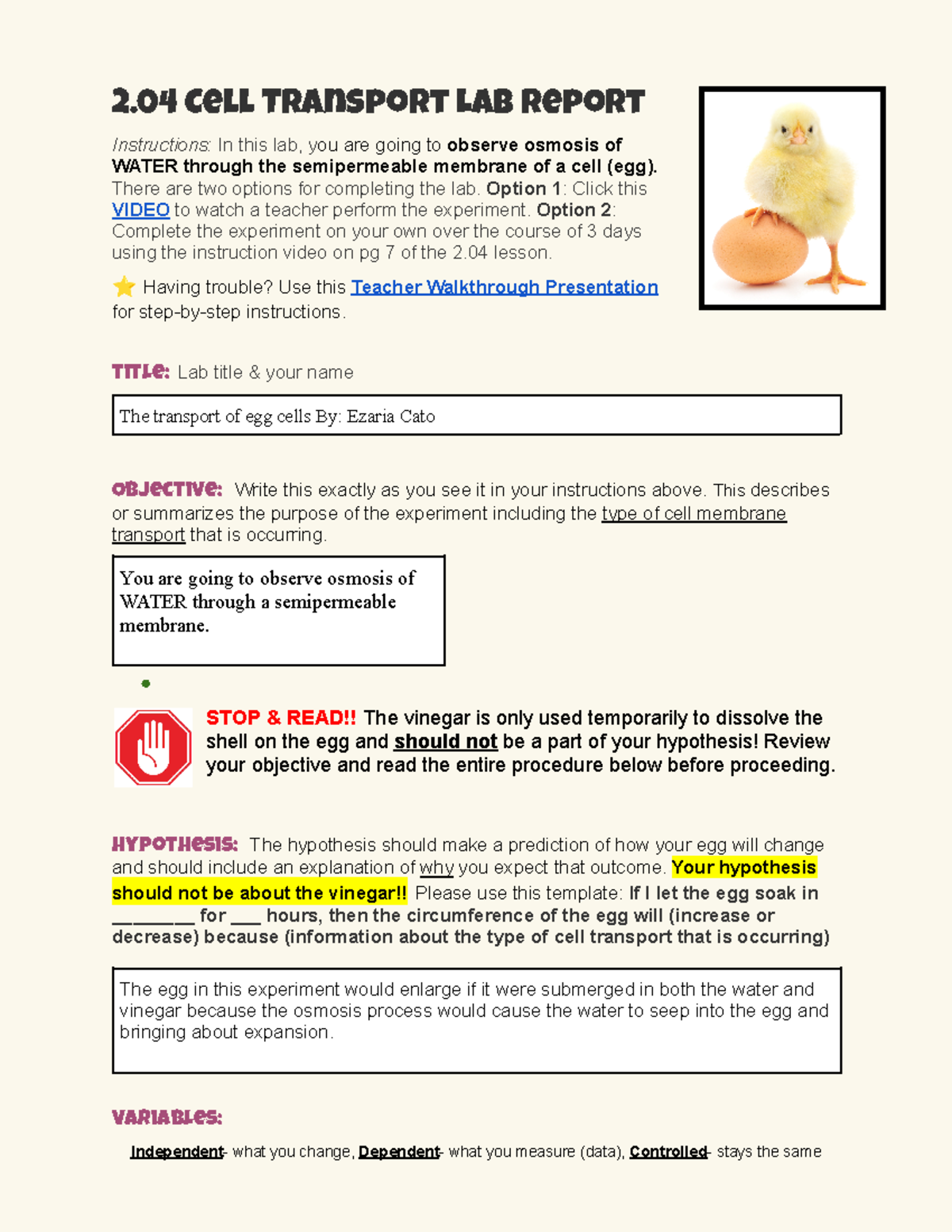 Cell Transport Lab Report (Biology 101) - Osmosis Experiment Analysis ...