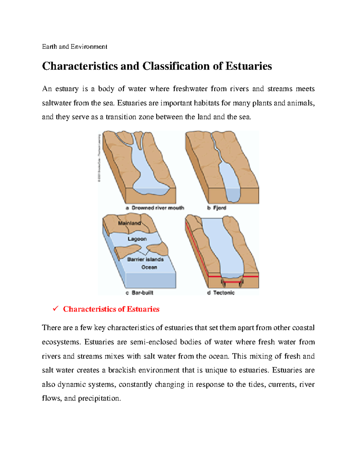 Characteristics and Classification of Estuaries for Earth & Env. - Studocu