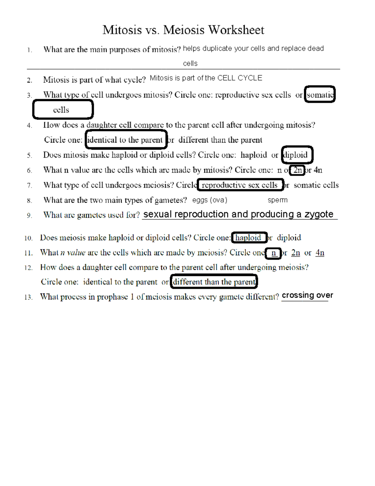 Mitosis vs meiosis worksheet answers - helps duplicate your cells and ...