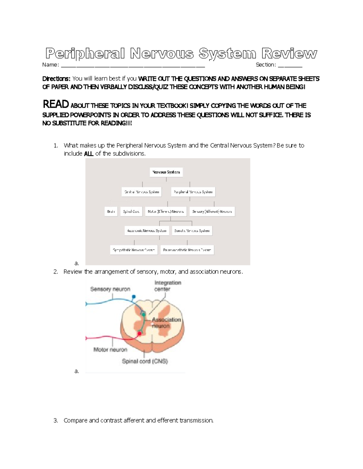 Peripheral Nervous System Review Guide (BIO 101) - Studocu