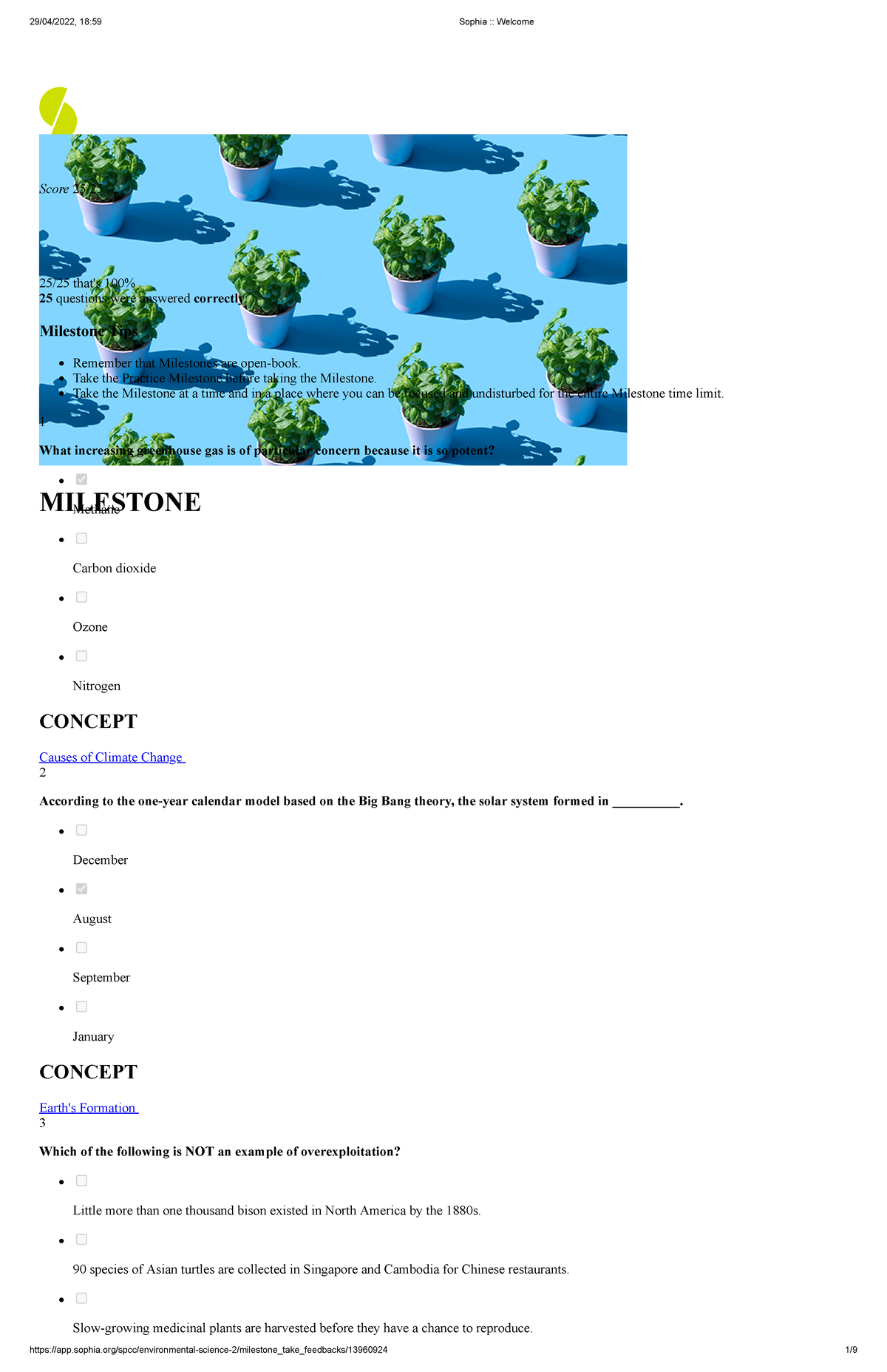Final Exam - Unit 3 Art History and Environmental Science Insights ...