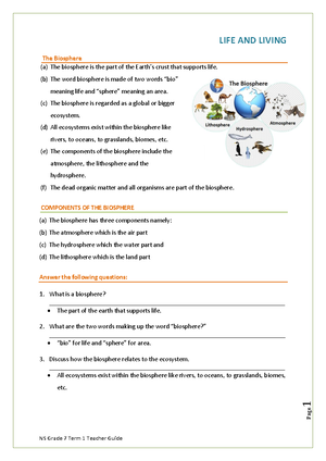 493252721 Grade 6 Term 1 Numeric Patterns Lesson 4 - Grade 6 Lesson ...