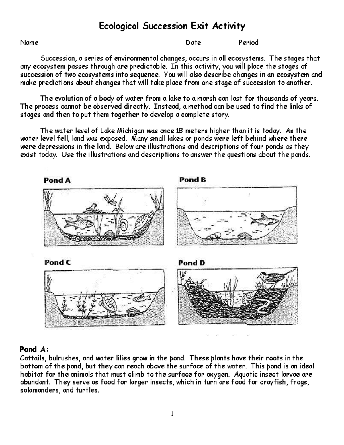 Ecological Succession Activity - Emily Torres (Biology 101) - Studocu