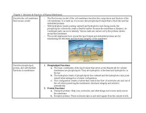 BIO-Lab 3 - Biology 110 Lab Activity 3 - PRE-LAB QUESTIONS Identify ...