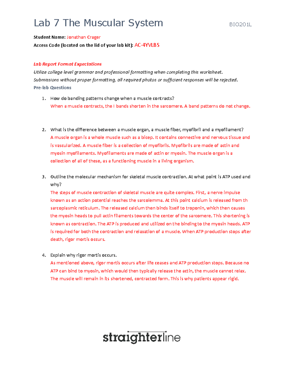 BIO201L Lab 7: The Muscular System - Comprehensive Study Guide - Studocu