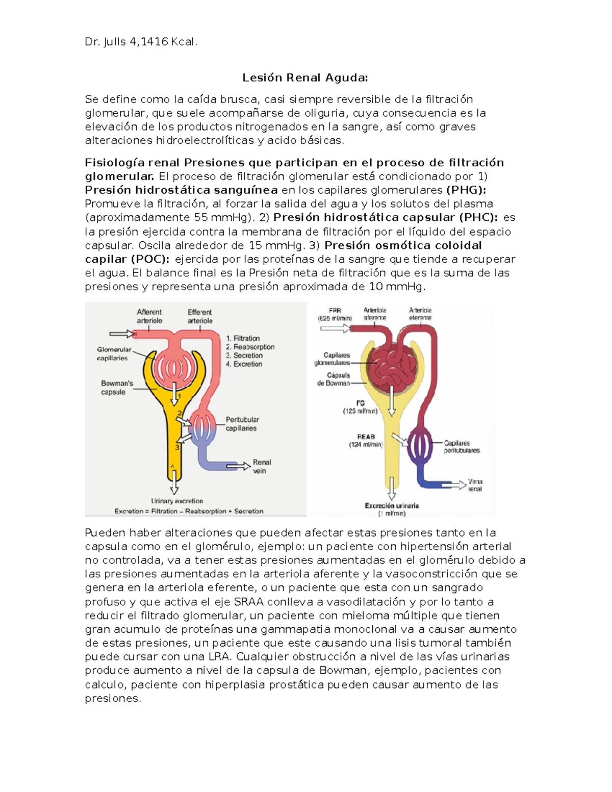 Lesion Renal Aguda Dr.Julls 4,1416 Kcal - Lesión Renal Aguda: Se define ...