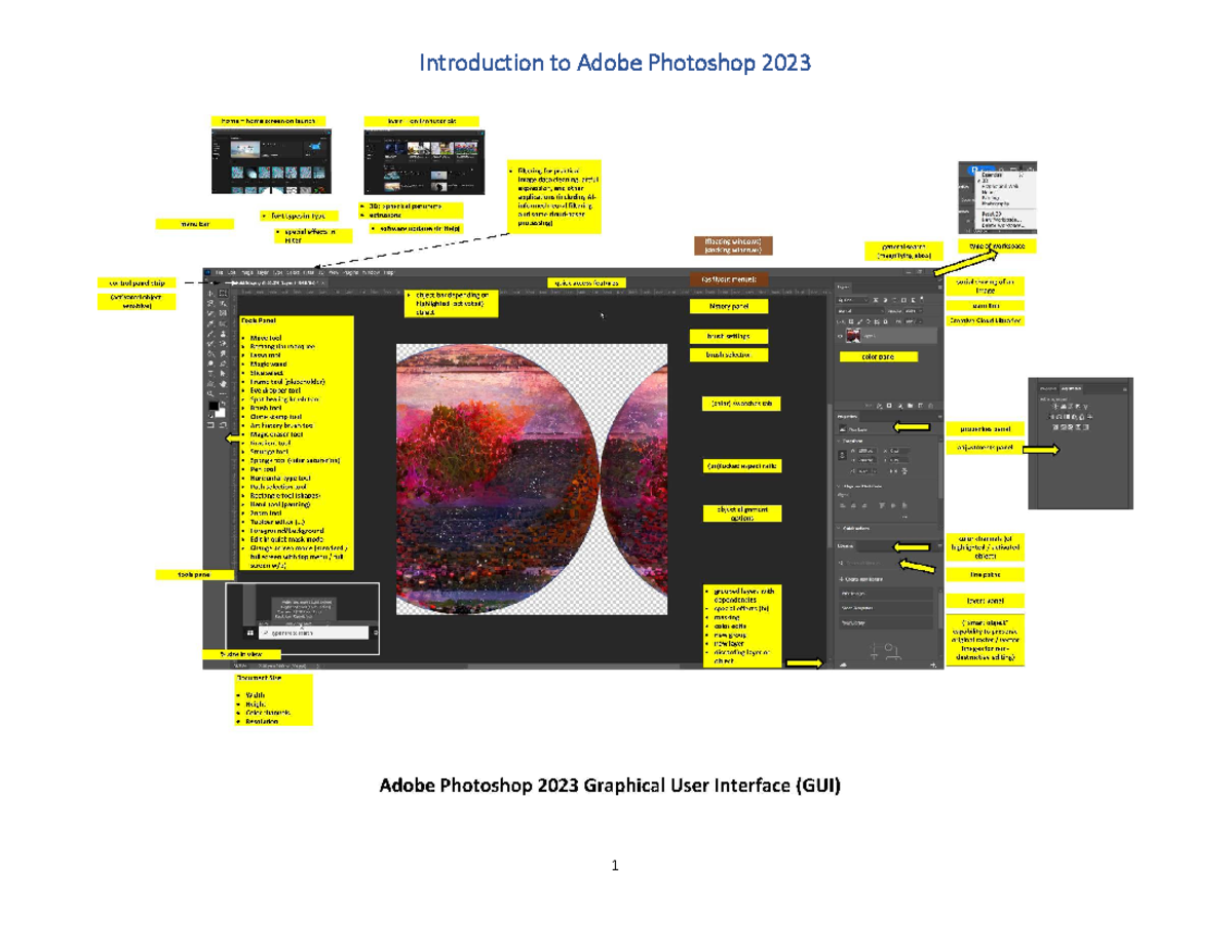 Intro to Adobe Photoshop 2023: Training Session Overview and Tips - Studocu