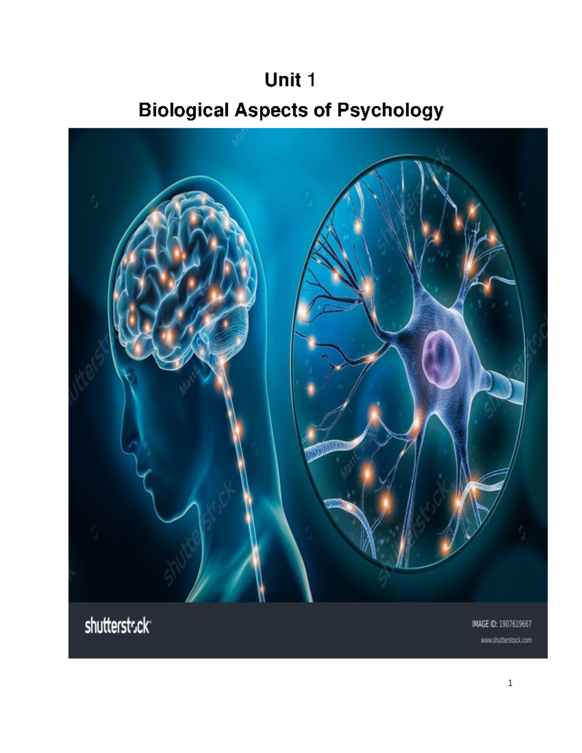 PYC1512 Unit 1: Biological Foundations of Psychology and Behavior - Studocu