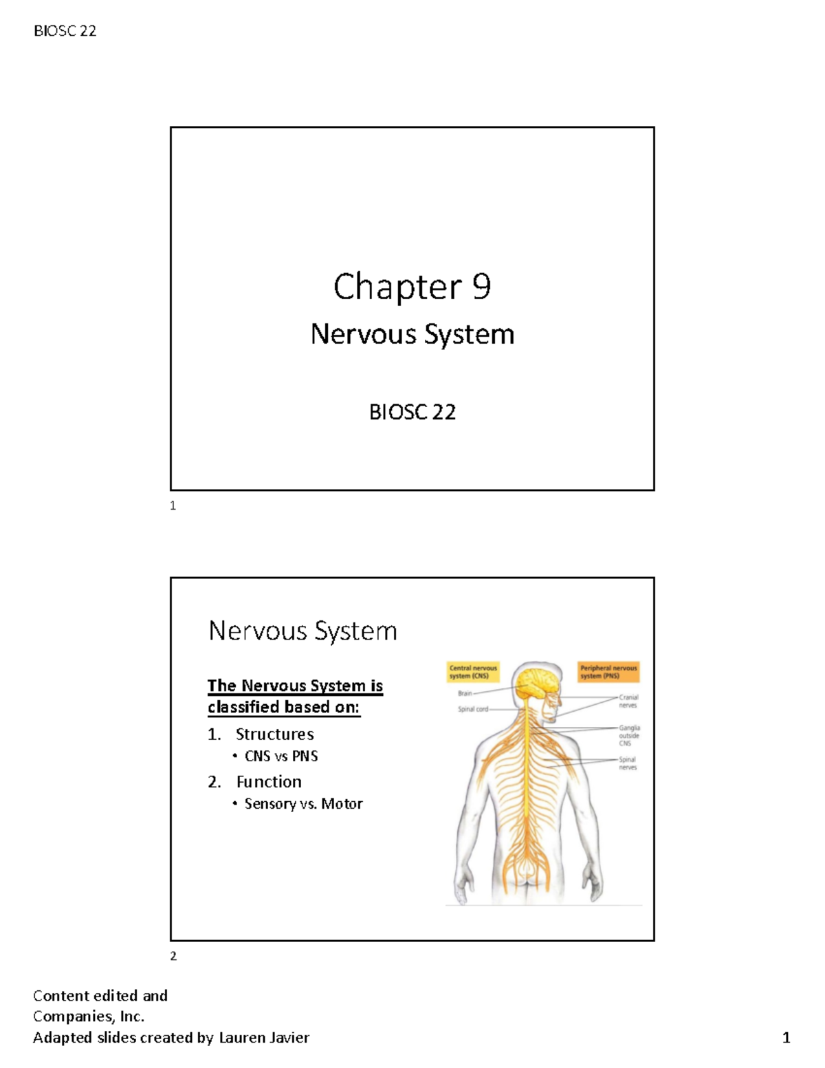 BIOSC 22 Lecture Notes: Understanding Neurons and Action Potentials ...