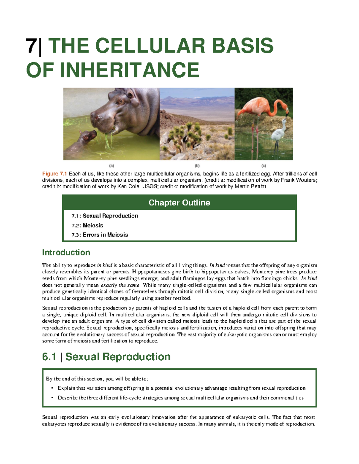 Genetic Inheritance and Meiosis in Eukaryotic Organisms - 7| THE ...