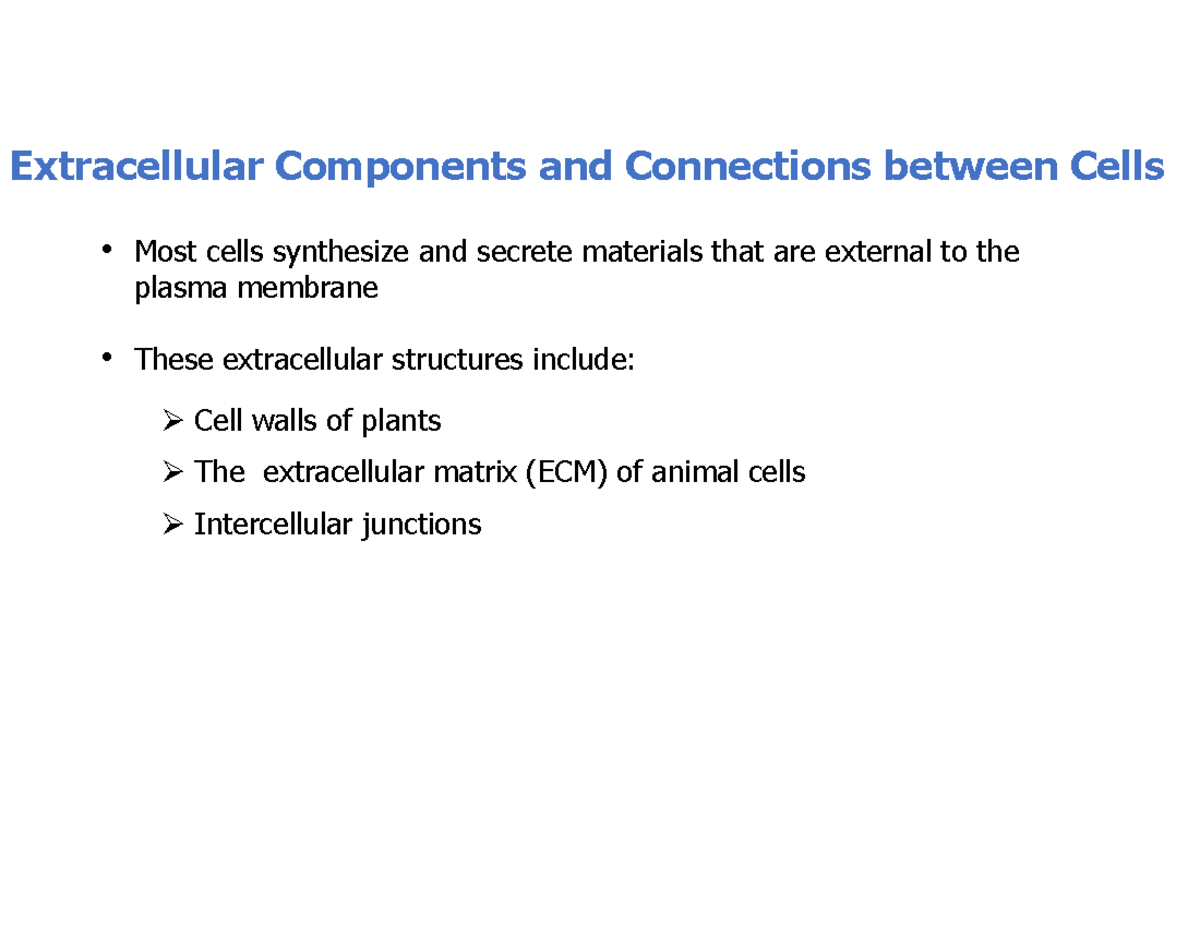 Cell Structure and Function: Extracellular Components (BIO101) - Studocu