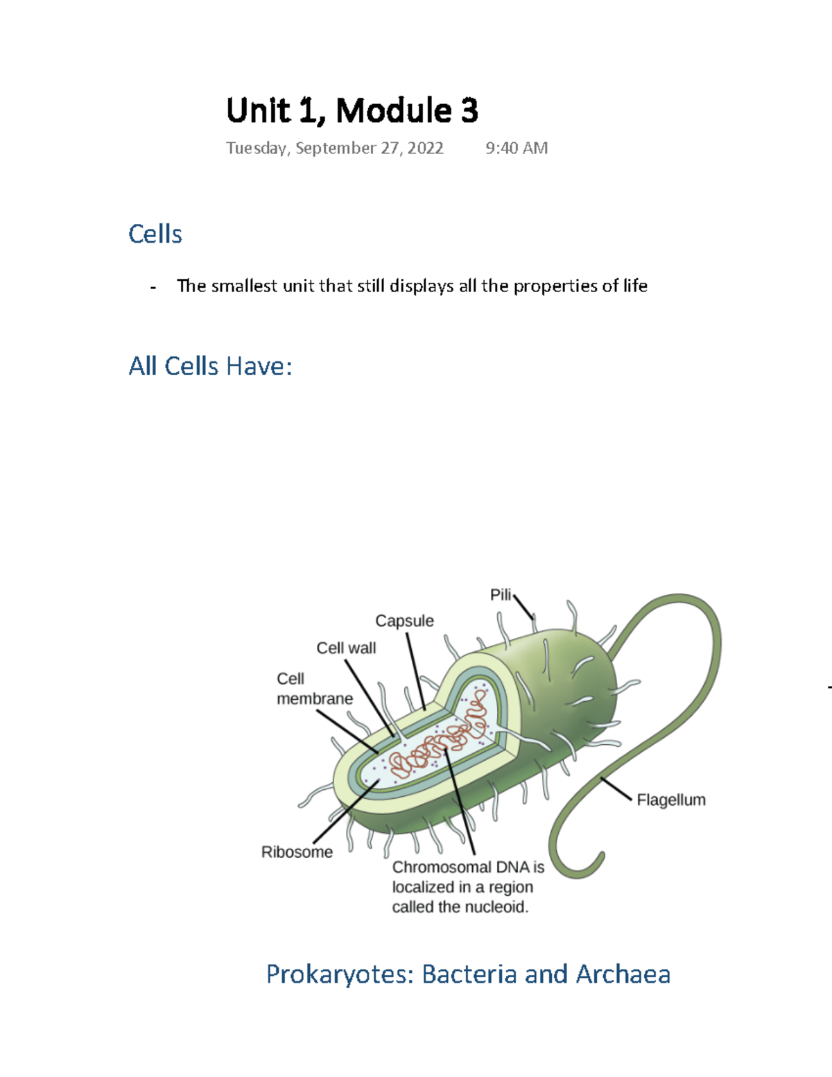 Unit 1, Module 3 - Introduction to Biology 111: Charles A. Knight In ...