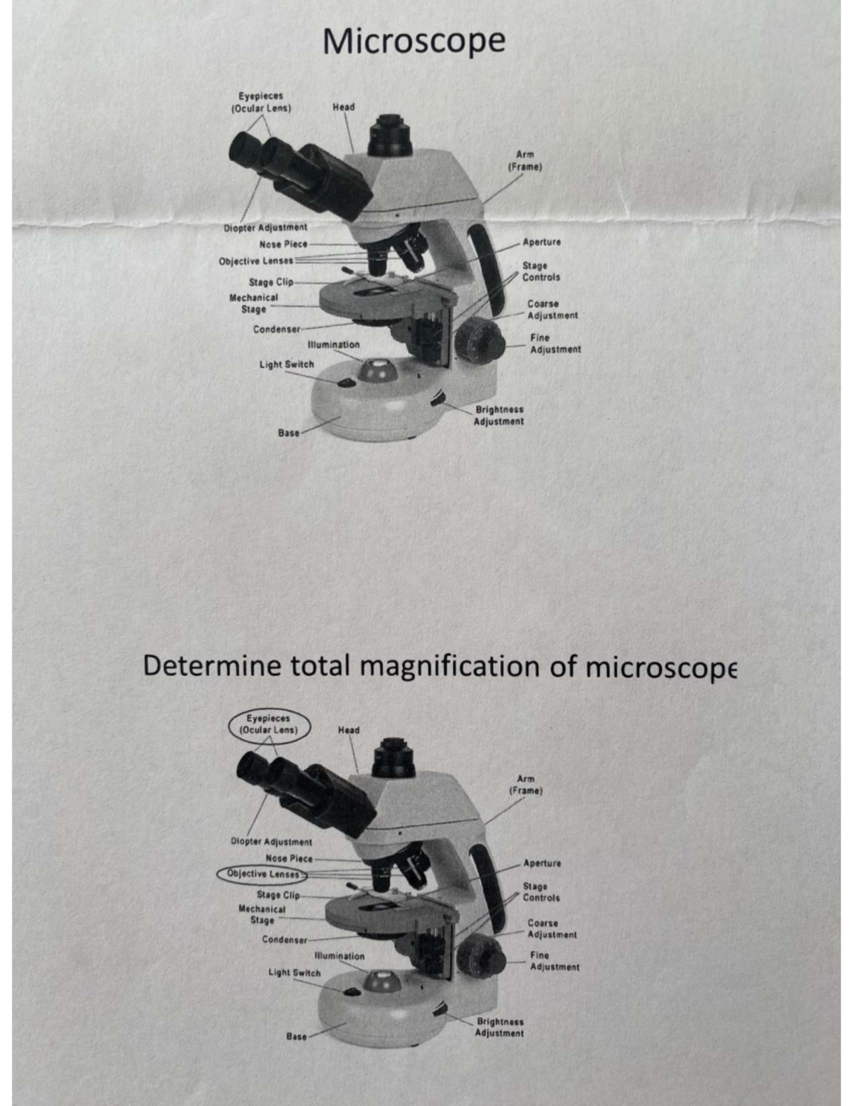 Microscope Components Overview: A Comprehensive Analysis - Studocu