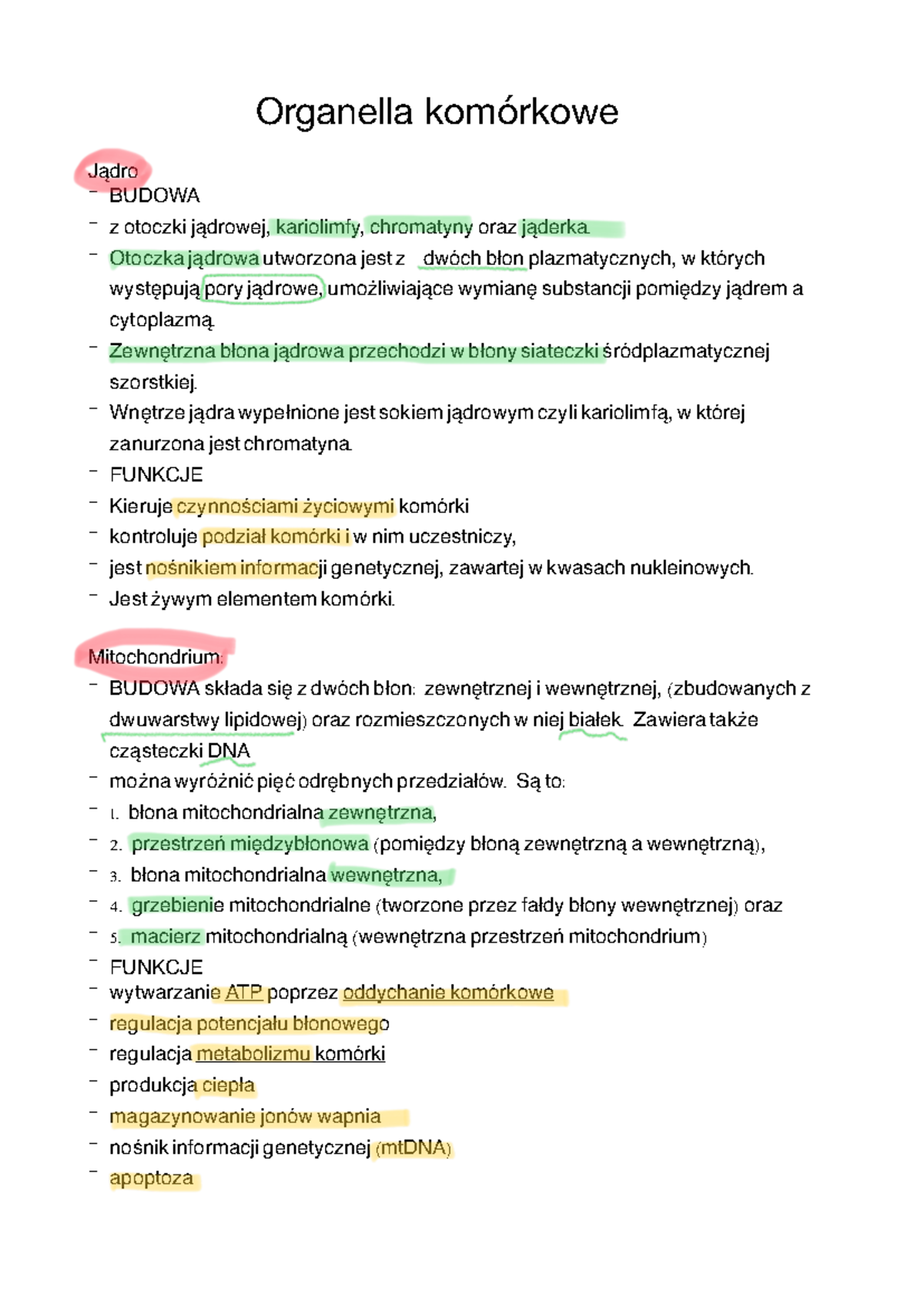 Organella komórkowe: Budowa i funkcje różnych organelli w biologii ...