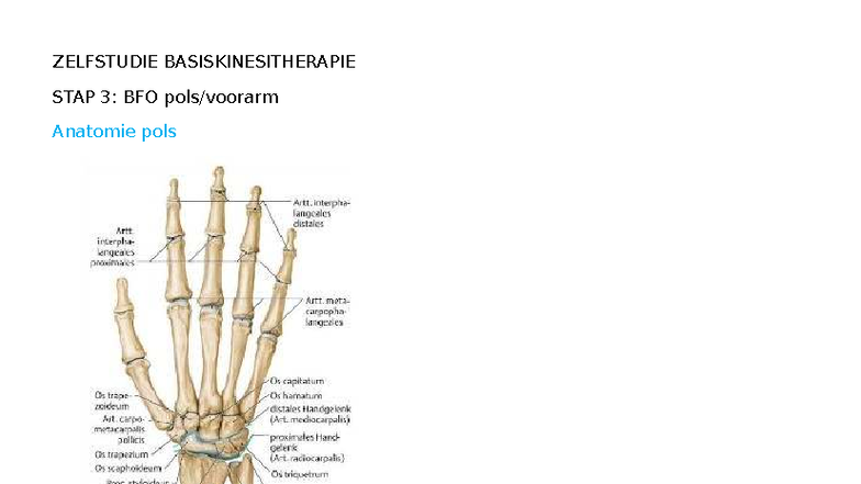 Zelfstudie STAP 3: BFO Anatomie en Functieonderzoek Pols Bewegingen - Studocu
