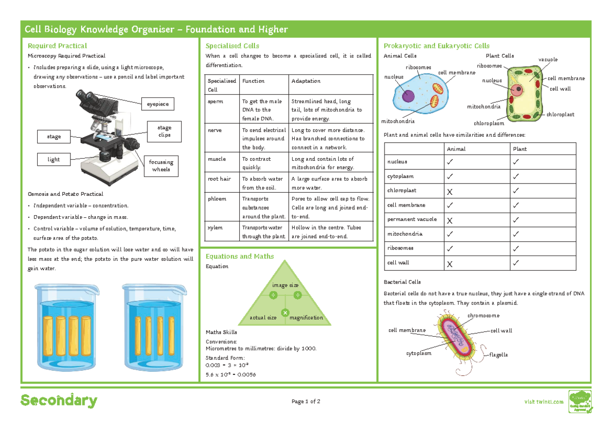 B1 Cells: Key Knowledge Sheet for Foundation & Higher Practical - Studocu