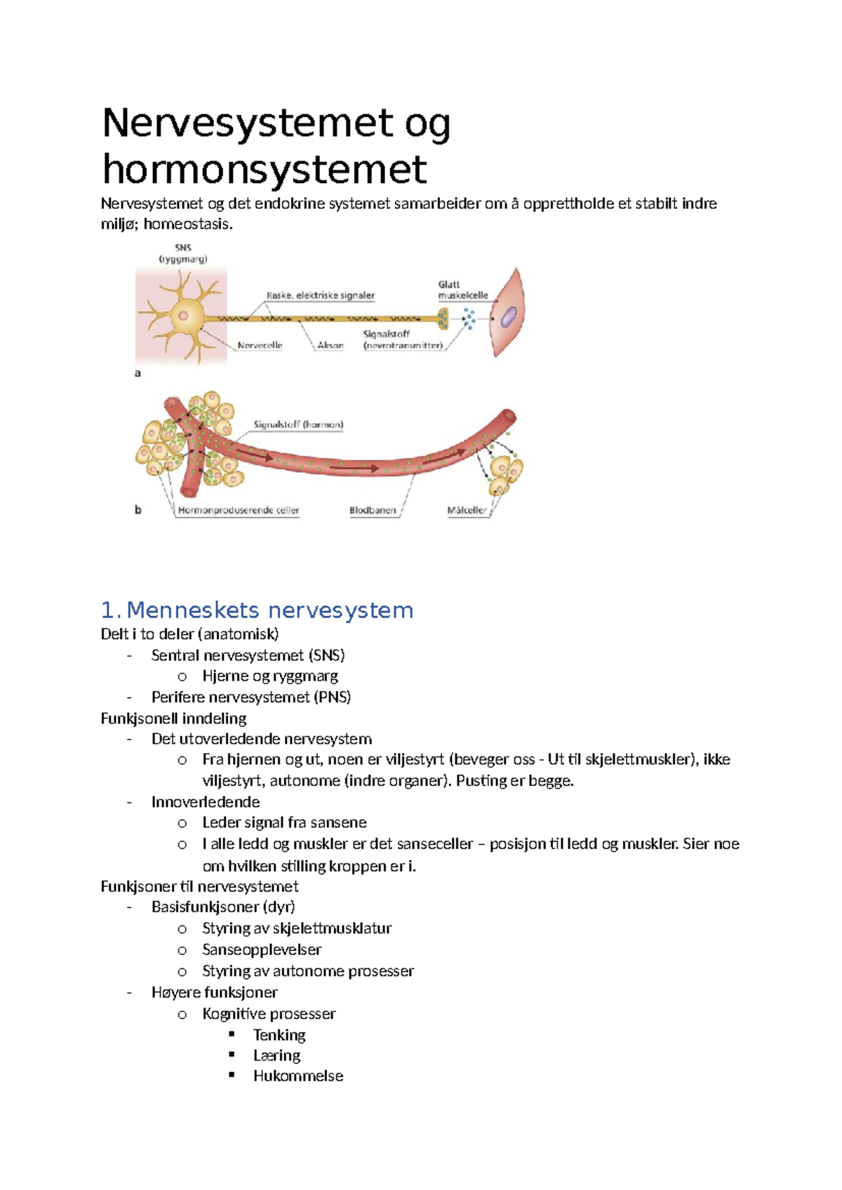 Nervesystemet og hormonsystemet - Nervesystemet og hormonsystemet Nervesystemet og det endokrine ...