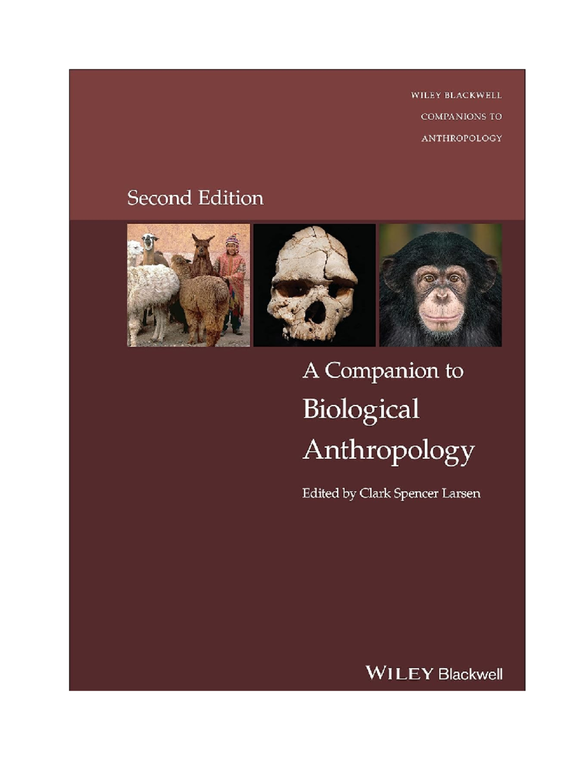 A Companion to Biological Anthropology - Advances in DNA research ...