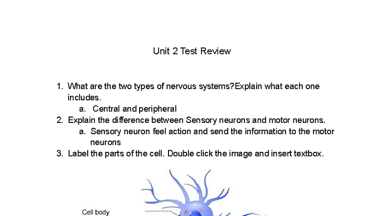Unit 2 Nervous System Test Review Notes - Studocu