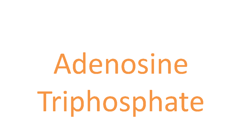 Concept 2 Notes: Energy & ATP-ADP Cycle in Cellular Functions - Studocu