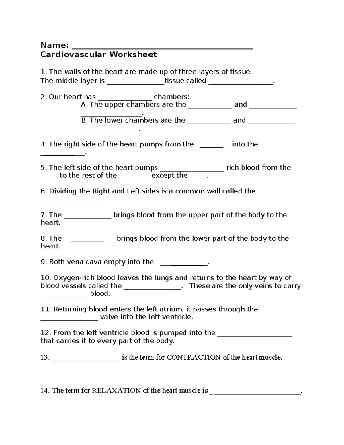 Cardiovascular-Worksheet - Name ...