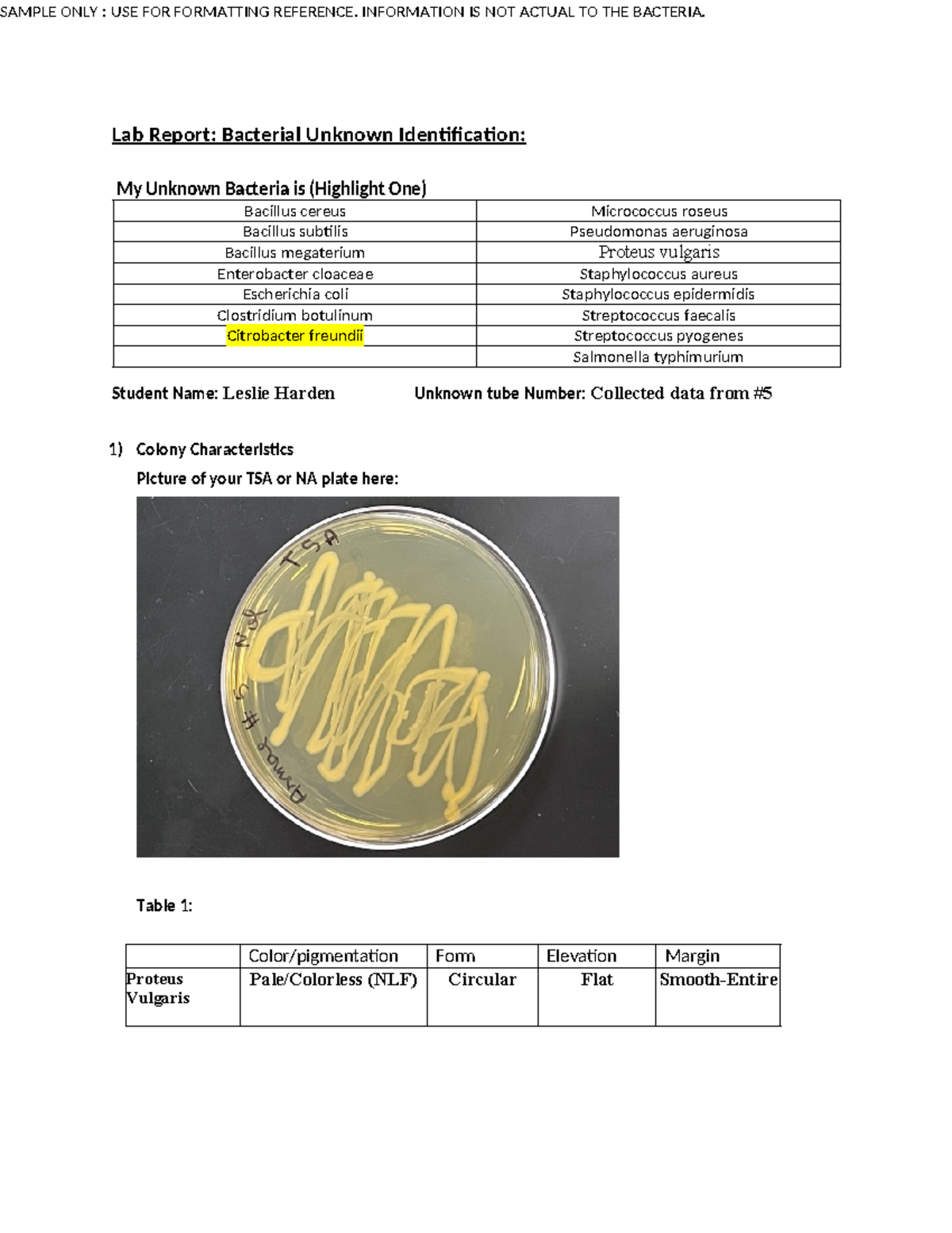 Lab Report: Identification of Unknown Bacteria - Proteus vulgaris - Studocu